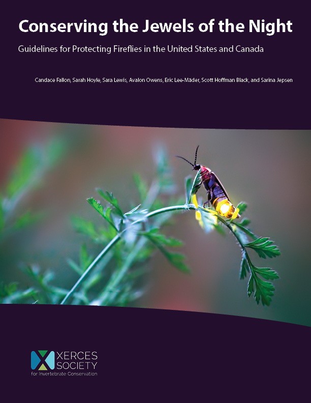 Conservation Guidance - Firefly Atlas