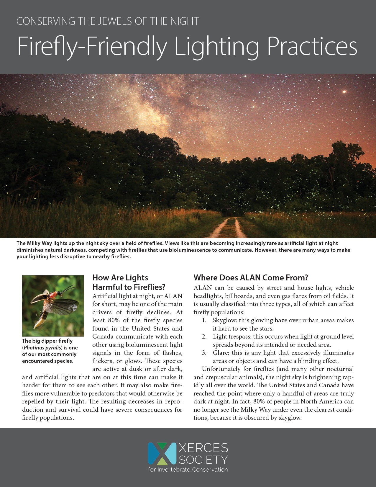 Conservation Guidance - Firefly Atlas