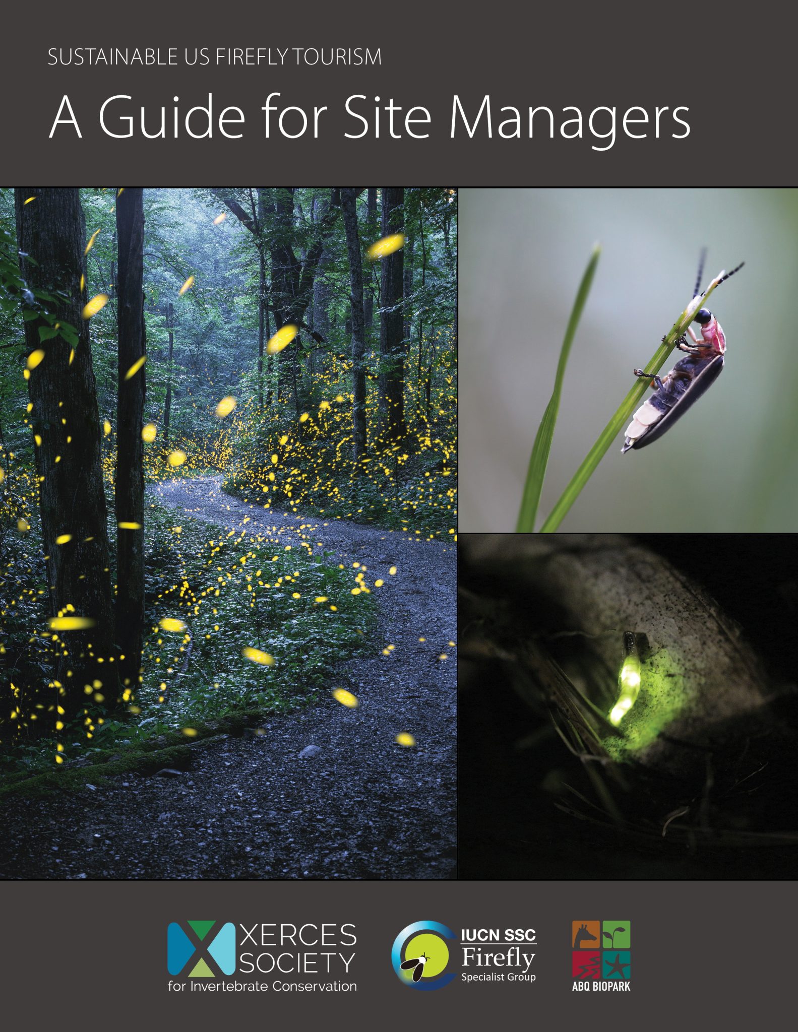 Conservation Guidance - Firefly Atlas