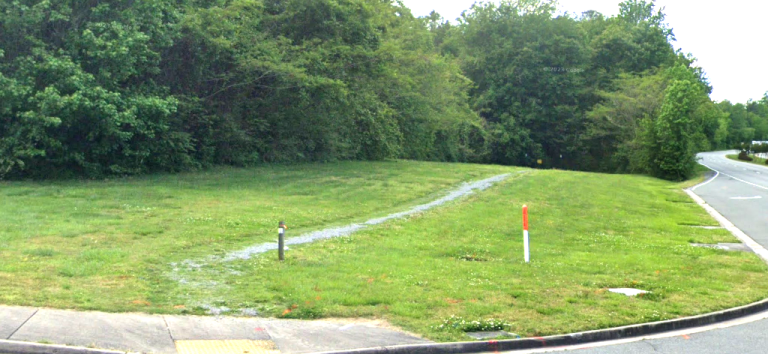 Observation: Photinus ignitus - Firefly Atlas